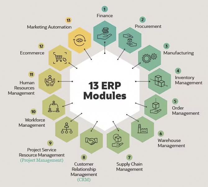 NetSuite Experience with Custom Add-On Modules | OpenTeQ